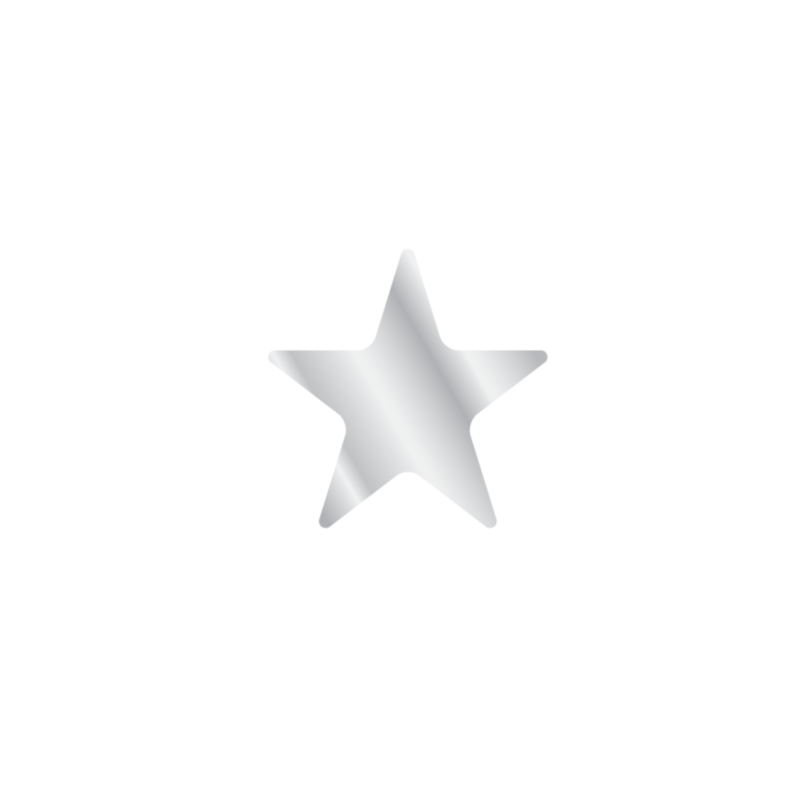 Silver Star Shaped Stickers 10x10mm | Labels Online