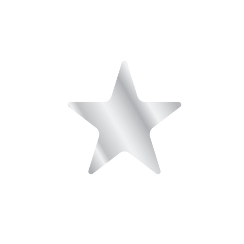 Silver Star Shaped Stickers 20x20mm | Labels Online