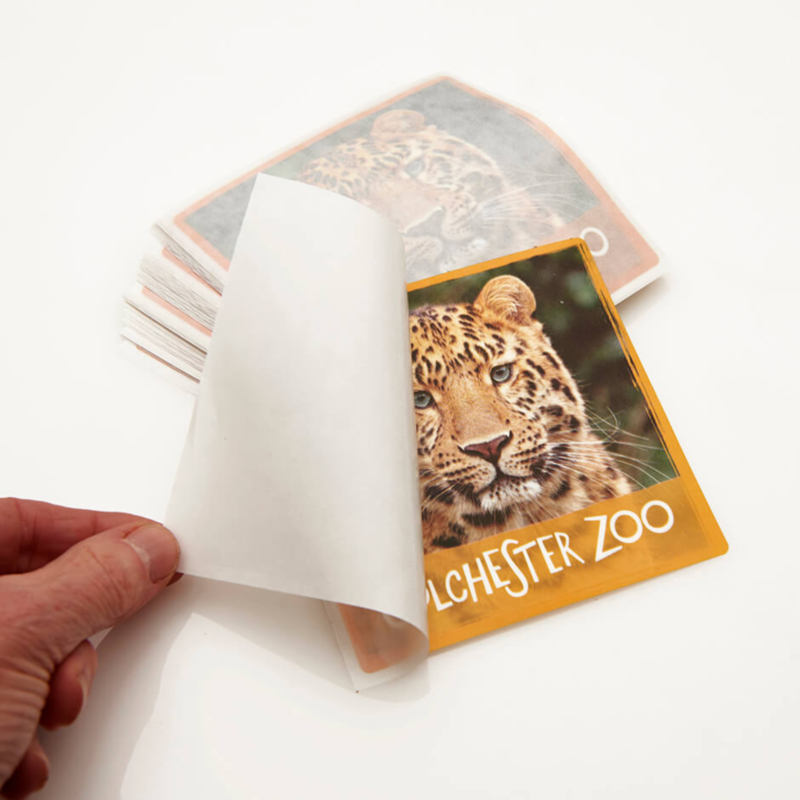 Custom Printed Window Stickers & Decals | Labels Online