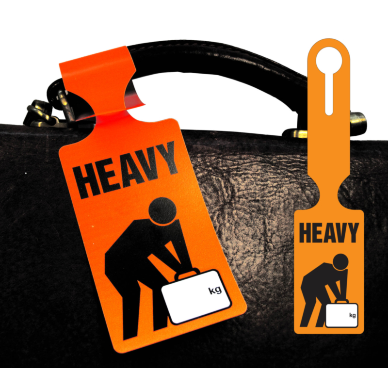 Heavy Loop Through Tags 24x60mm | Labels Online